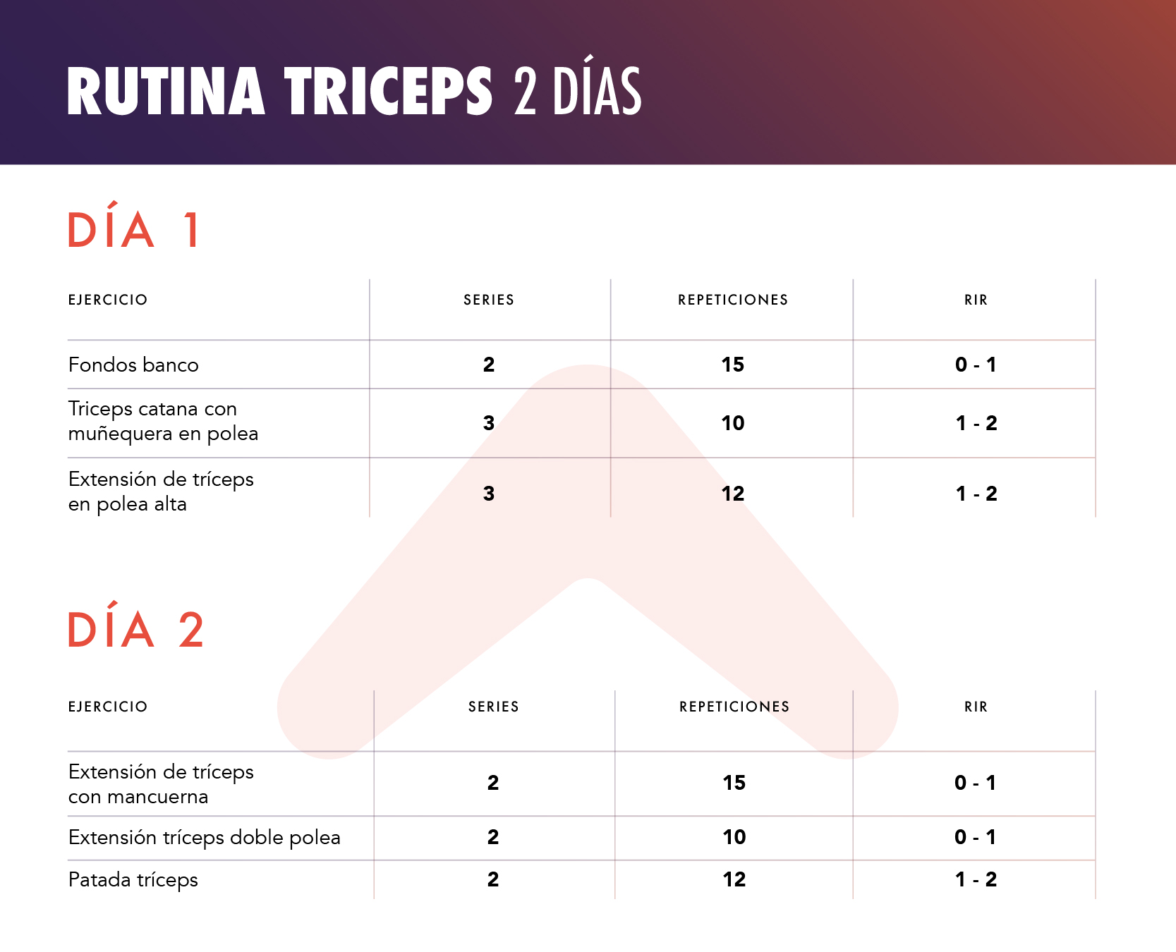 Diagrama De Triceps